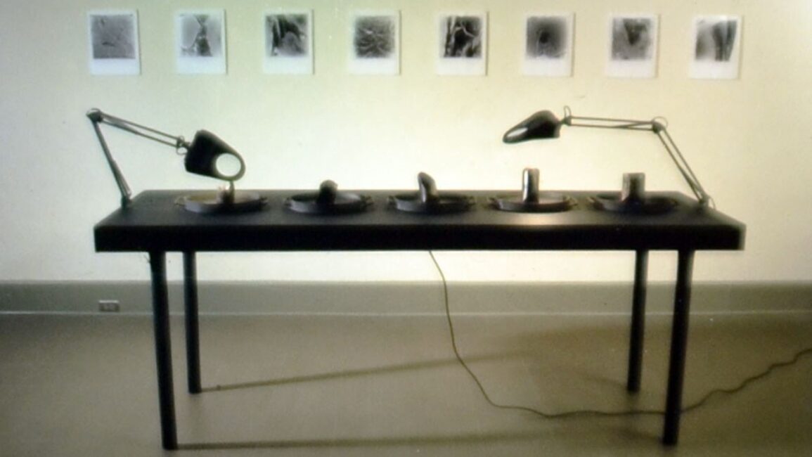 Scott McCulloch | McColl Center