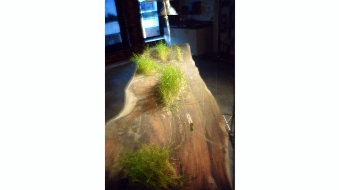 Scott McCulloch | McColl Center