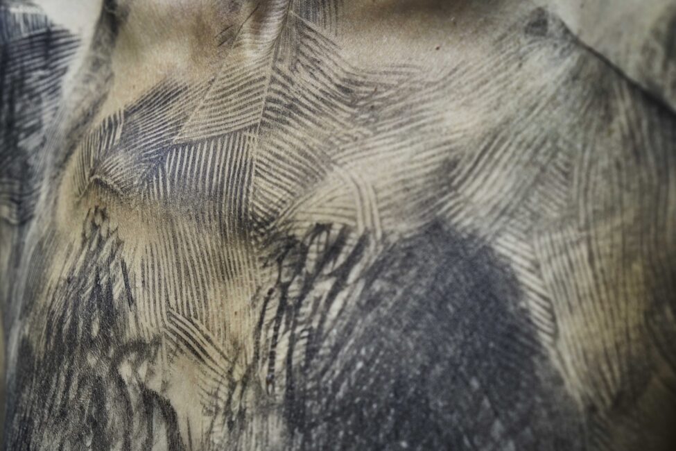 Zuzanna Dyrda | McColl Center